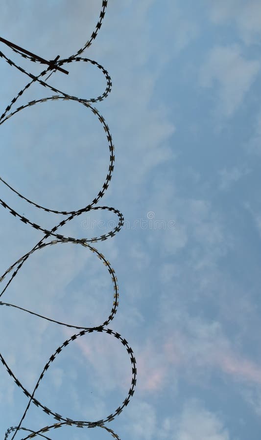 Protective Barbed Wire with Sharp Teeth, Vertically Stock Photo - Image ...