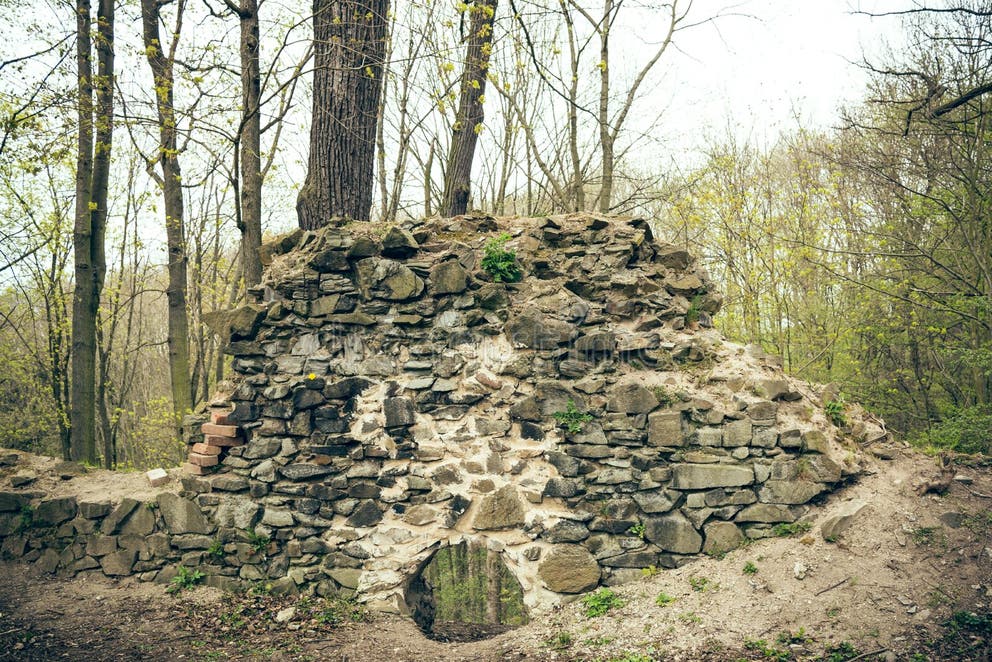 Protective Barrier in the Forest Stock Photo - Image of green, rampart ...