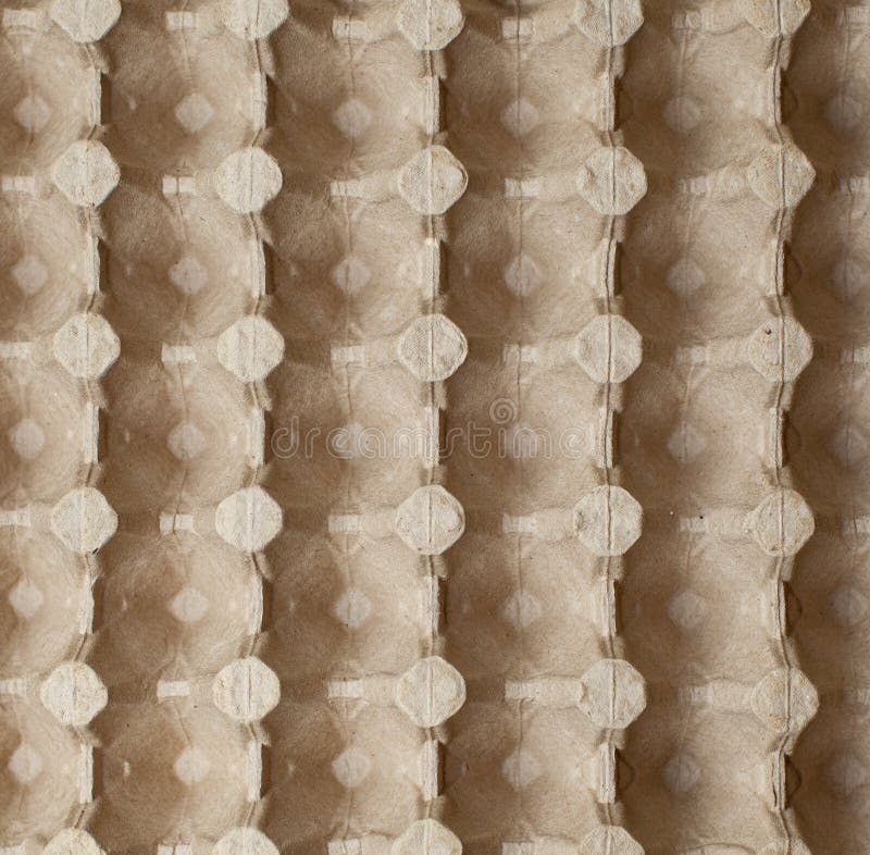 Protective Cardboard Packaging for Storing and Transporting Eggs Stock ...