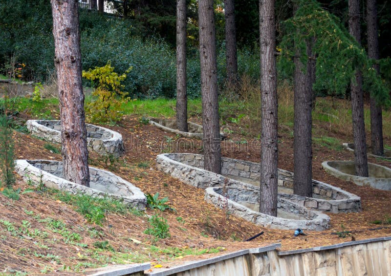 Protective Concrete Circular Fence Around the Trees Stock Photo - Image ...