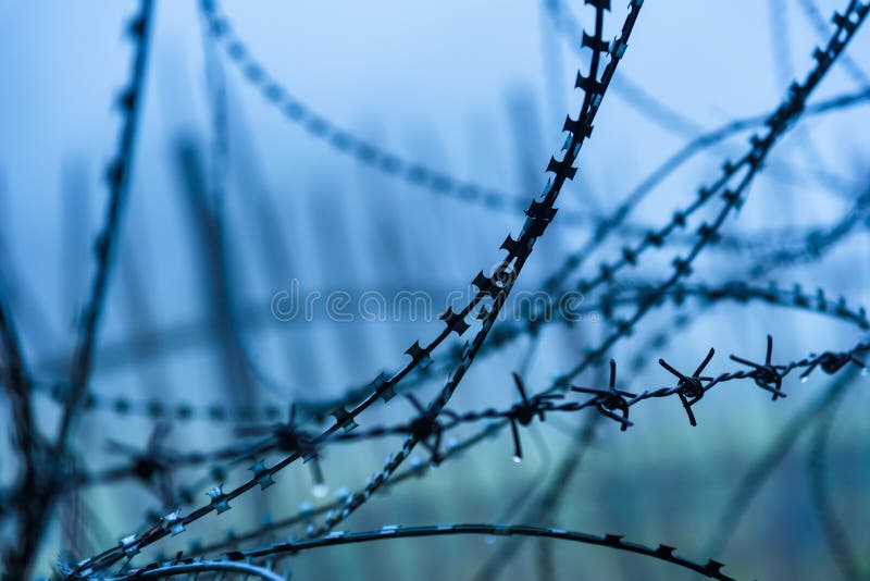Protective Fencing Specially Protected Object of Barbed Wire. St Stock ...