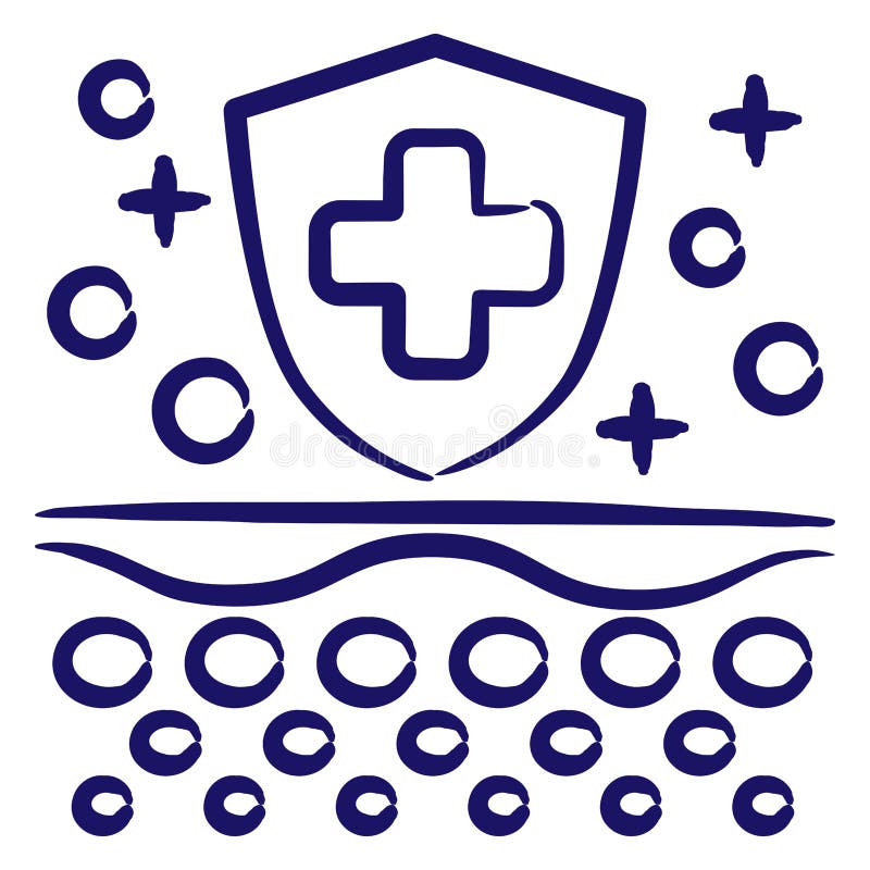 Skin Function Stock Illustrations – 811 Skin Function Stock ...