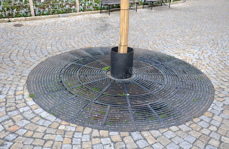 Protective Grid Tree in Black Circular Granite Metal Pavement Stock ...