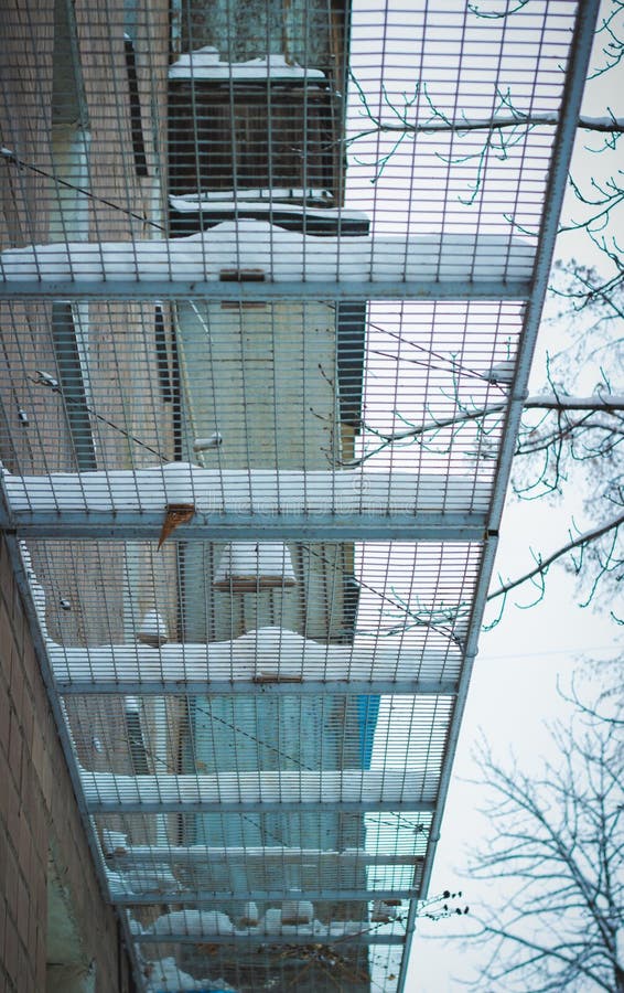 Protective grille stock image. Image of material, protection - 82207715