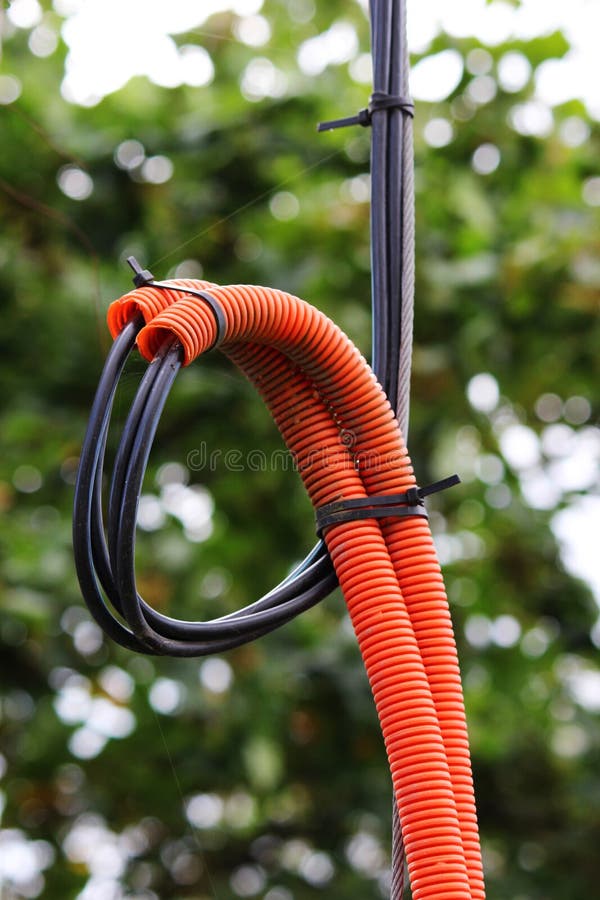 Protective PVC Corrugated Pipe with Electrical Cables Inside. in Case ...