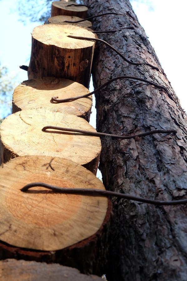 Protective Structure Made of Wooden Logs. Natural Background Stock ...