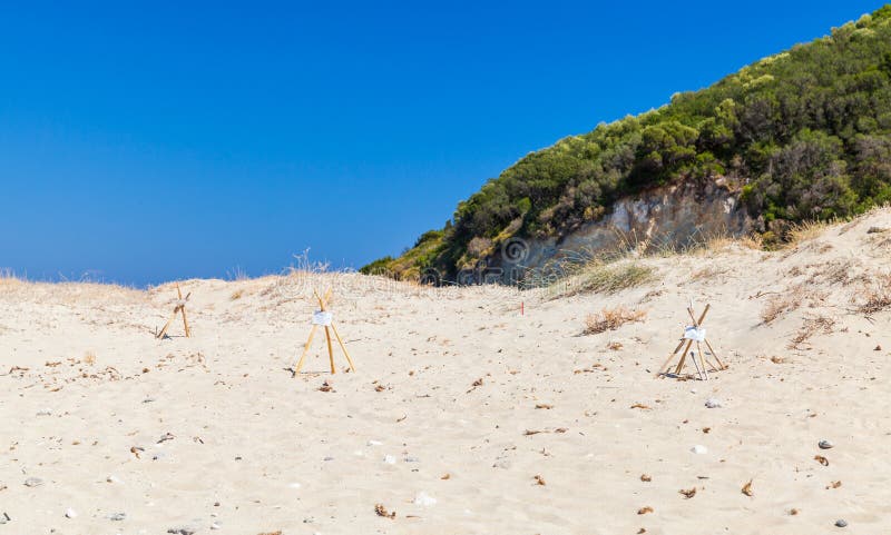Protective Structures in the Sands of Nesting Sites for Egg-laying ...