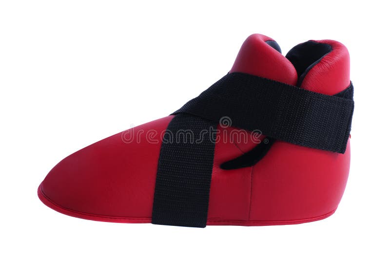 The Protector stock photo. Image of laughing, freedom - 2600282