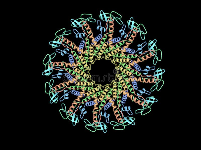 Protein on White Background Stock Illustration - Illustration of ...