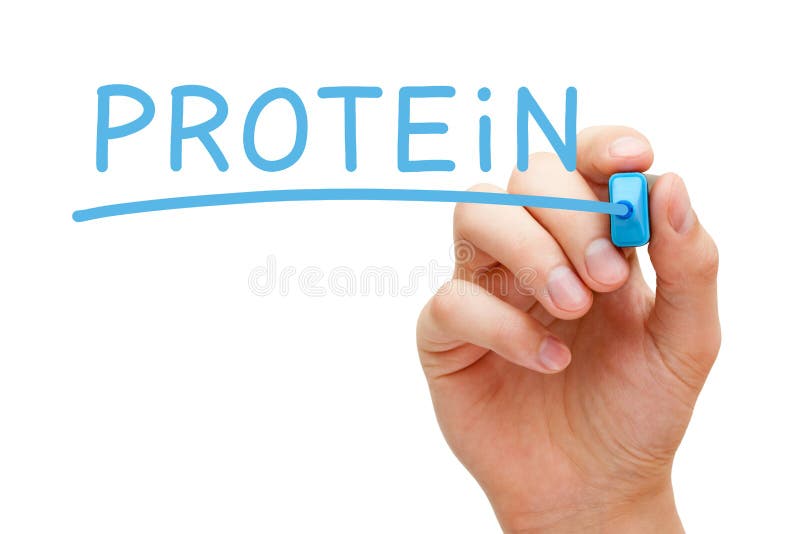 Protein Blue Marker stock image. Image of gainer, lifestyle - 103085427