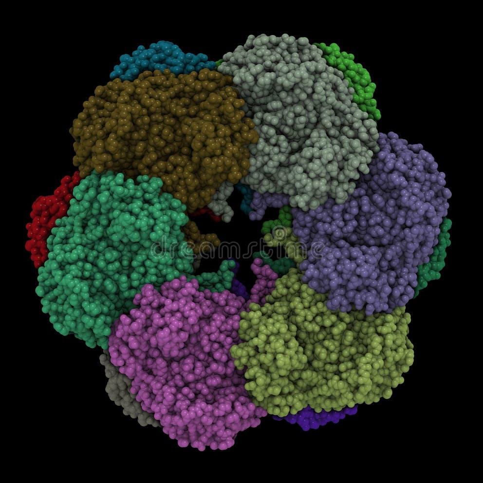 Complex Biotech Model Stock Illustrations – 248 Complex Biotech Model ...