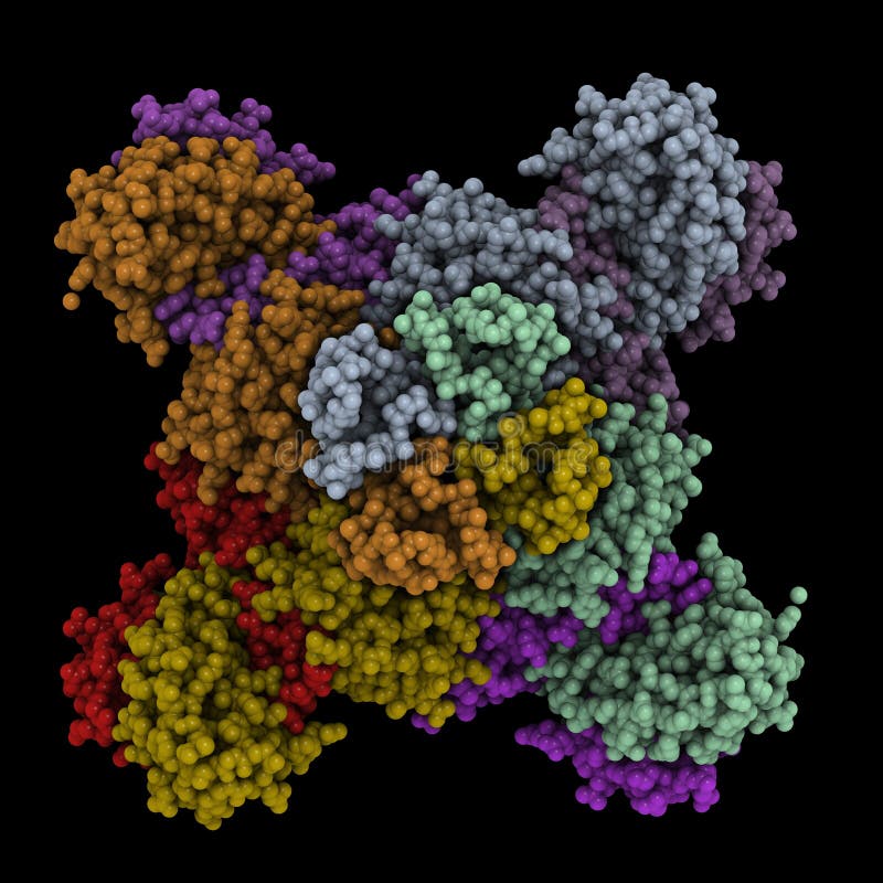 Protein complex stock illustration. Illustration of biotech - 6771135