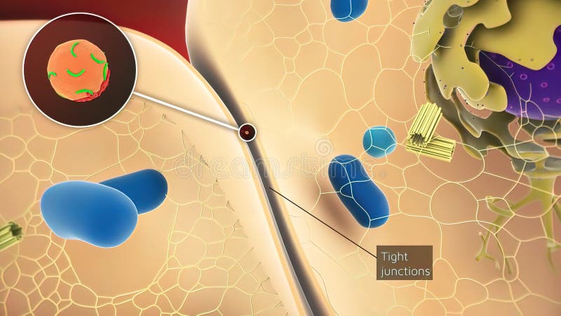 A Protein Complex Formed in the Replication Formation during the ...