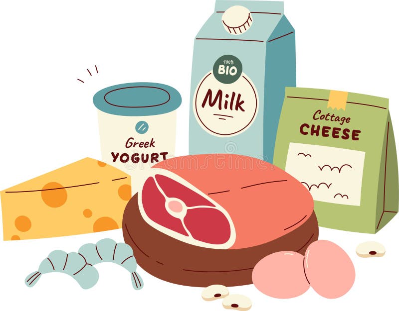 Protein Food Group stock vector. Illustration of meal - 302337072