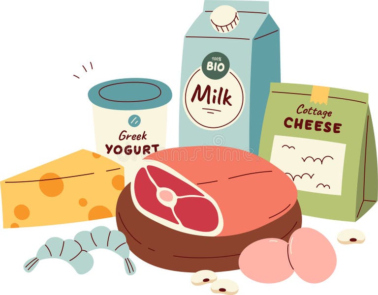 Protein Food Group stock vector. Illustration of meal - 302337072