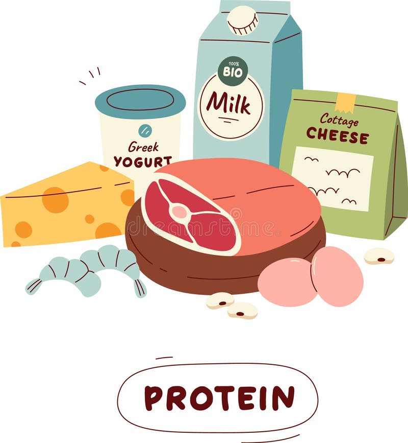 Protein Food Group stock vector. Illustration of fish - 302337268