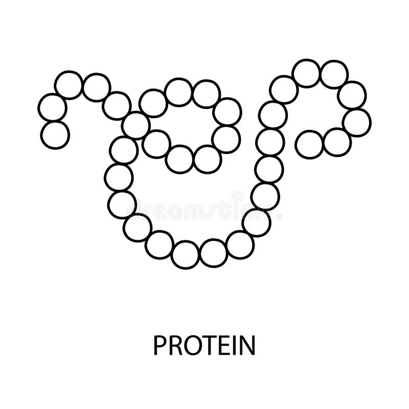 Protein Line Black Icon. Nutrition Facts Stock Vector - Illustration of ...