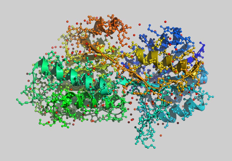 Protein molecular model stock illustration. Illustration of forces ...