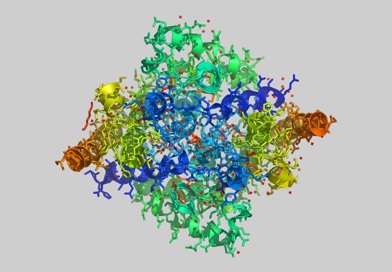 Protein molecular model stock illustration. Illustration of immune ...