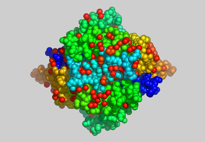 Protein molecular model stock illustration. Illustration of colored ...