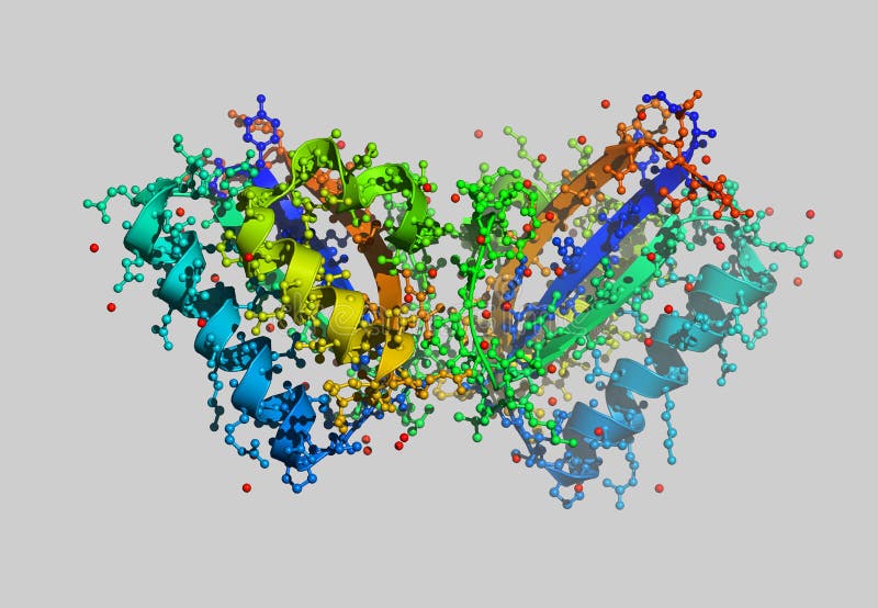 Protein molecular model stock illustration. Illustration of forces ...