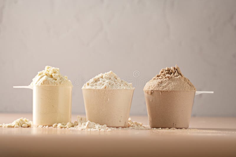 Protein Powder in Scoops. Different Flavours of Whey Protein Powder ...