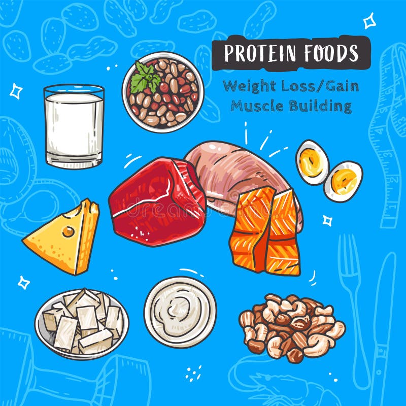 Protein-rich Foods on a Blue Background. Hand-drawn Vector Illustration ...