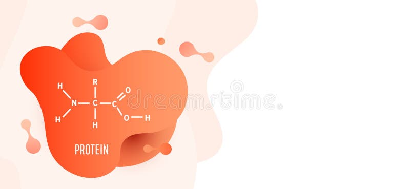 Protein Structural Chemical Formula And Molecular Model Vector Illustration Stock Vector