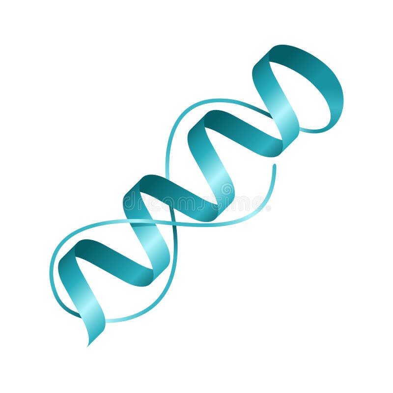 Protein Structure Vector Illustration Labeled Amino Acid Chain Molecules Stock Vector