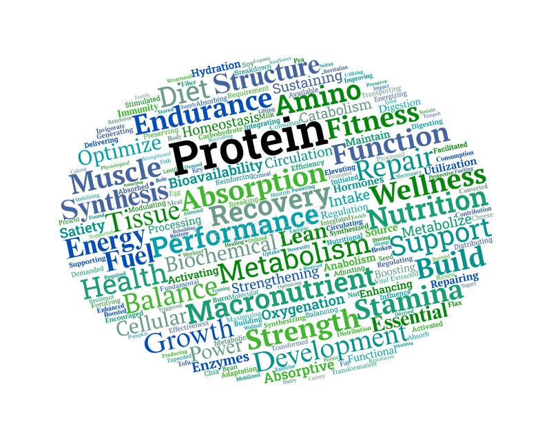 Protein Word Cloud stock illustration. Illustration of cloud - 359565183