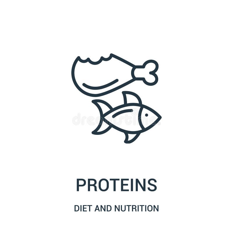 Proteins Icon Vector Sign and Symbol Isolated on White Background ...