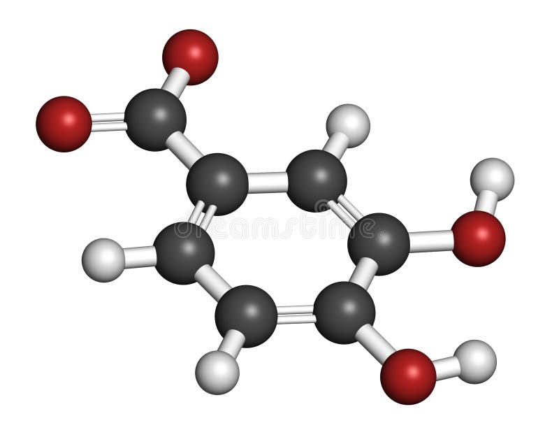 Protocatechuic Acid PCA Green Tea Antioxidant Molecule. Skeletal ...