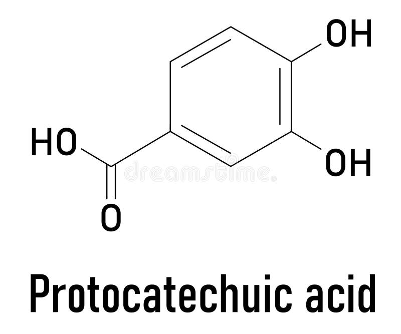 Protocatechuic Acid PCA Green Tea Antioxidant Molecule. Skeletal ...