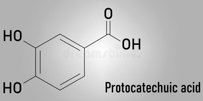 Protocatechuic Acid PCA Green Tea Antioxidant Molecule. Skeletal ...