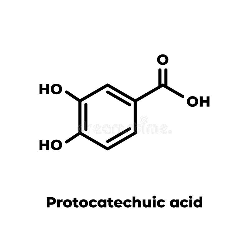 Protocatechuic Acid PCA Green Tea Antioxidant Molecule. Skeletal ...