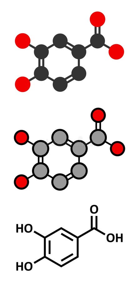 Protocatechuic Acid PCA Green Tea Antioxidant Molecule. Skeletal ...