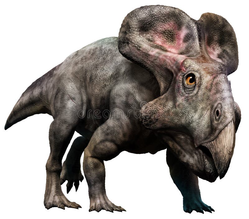 Protoceratops stock illustration. Illustration of ceratopsian - 81800793