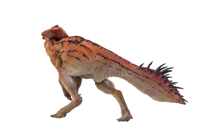 Protoceratops Dinosaurio Sobre Fondo Aislado Foto de archivo - Imagen ...