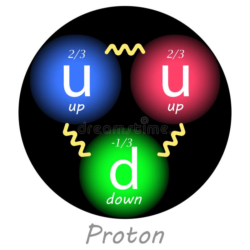 Proton with Two Up Quarks, One Down Quark, Their Charges and the Forces ...