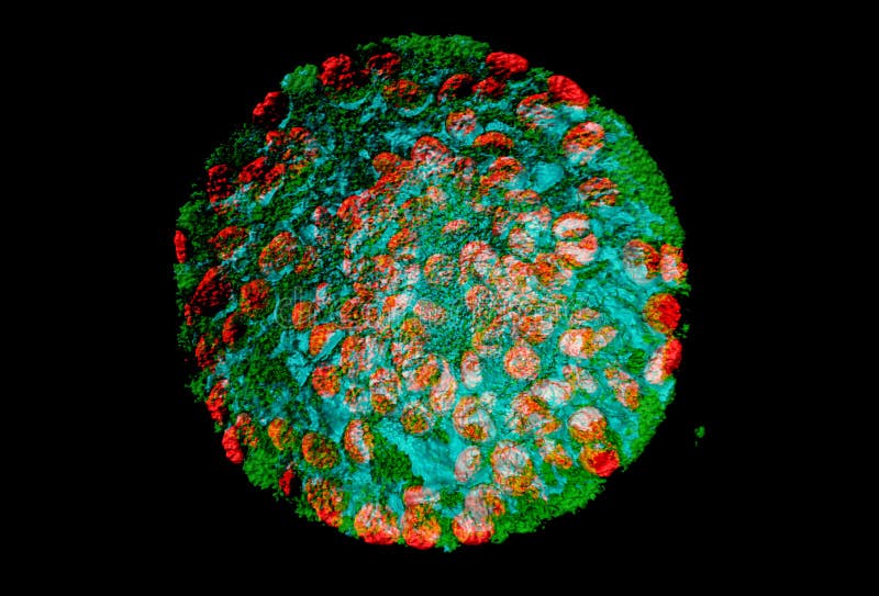 Protoplaste illustration stock. Illustration du chloroplastes - 27318403