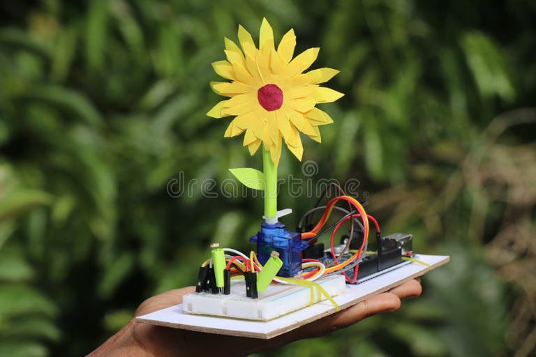 Prototype of Electronic Sunflower Made Using LDR Sensor and Servo ...