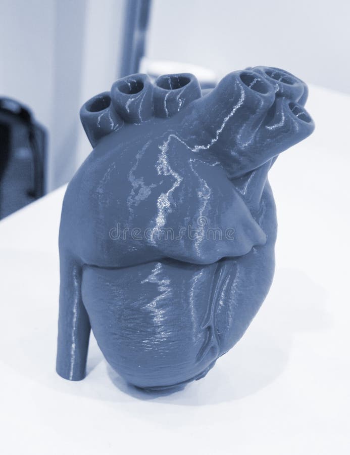 Prototype of Human Heart Printed on 3D Printer from Plastic Stock Image ...