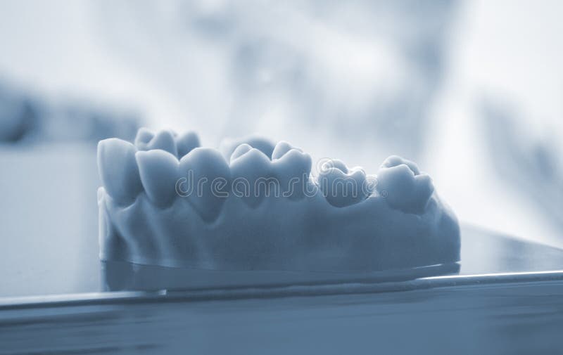 Prototype of Human Jaw Gums and Teeth Printed on 3D Printer from ...