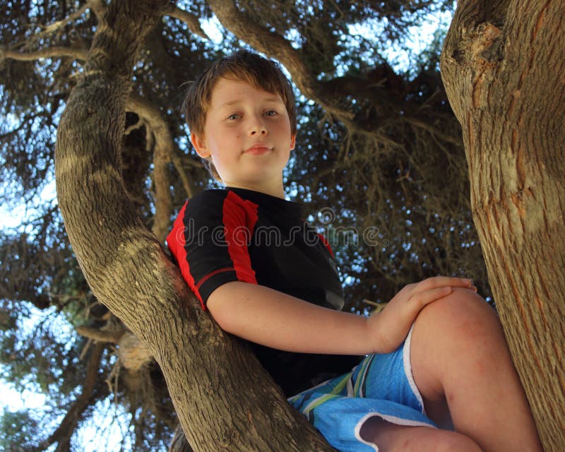 Proud boy in tree stock image. Image of posing, treeclimbing - 32258221