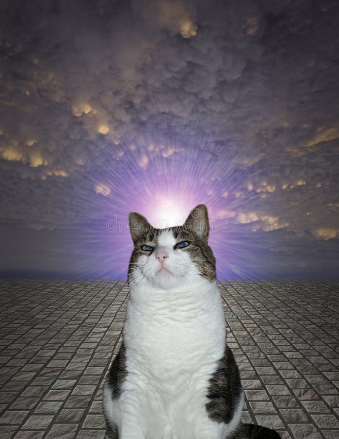 Proud Stock Illustrations – 63,464 Proud Stock Illustrations, Vectors ...