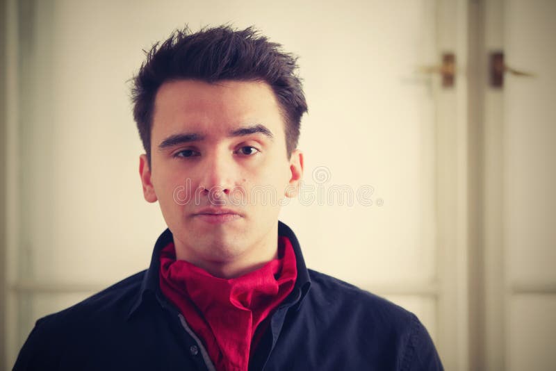 Proud man stock image. Image of glamour, people, fashion - 28993035