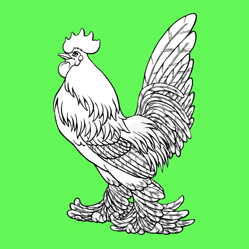 Cocky Rooster Stock Illustrations – 125 Cocky Rooster Stock ...