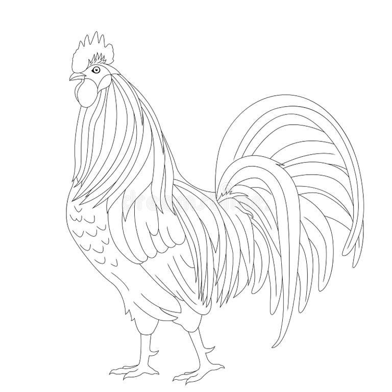 Rooster Outline Stock Illustrations – 9,159 Rooster Outline Stock ...