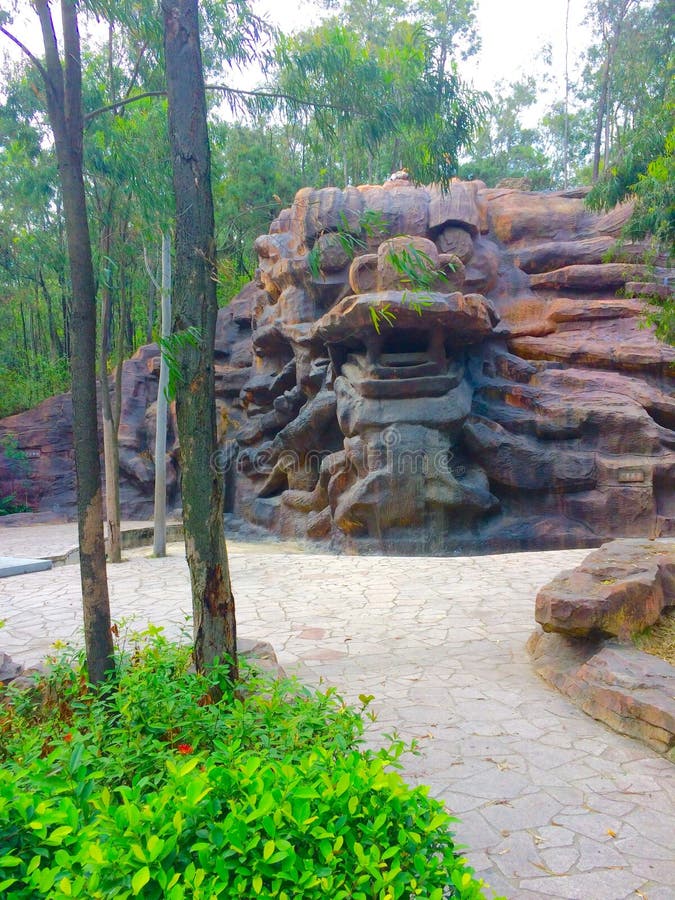 Proud of the scenery stock image. Image of tree, plant - 90541043