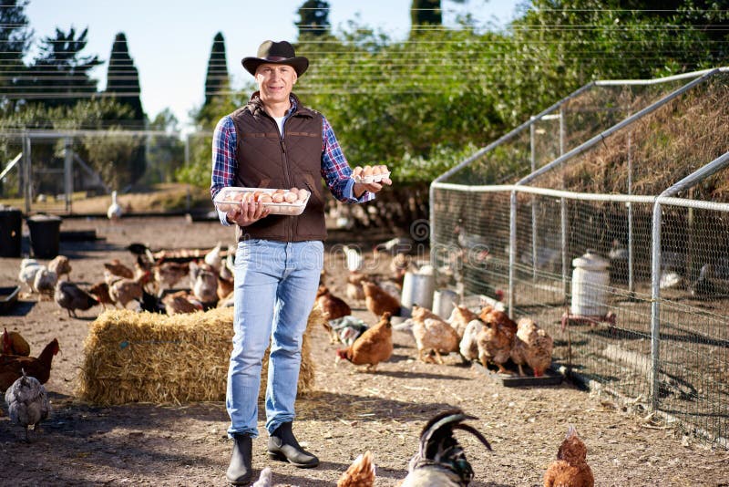 Proud Young Man Holding a Basket Filled with Eggs with Chickens Behind ...